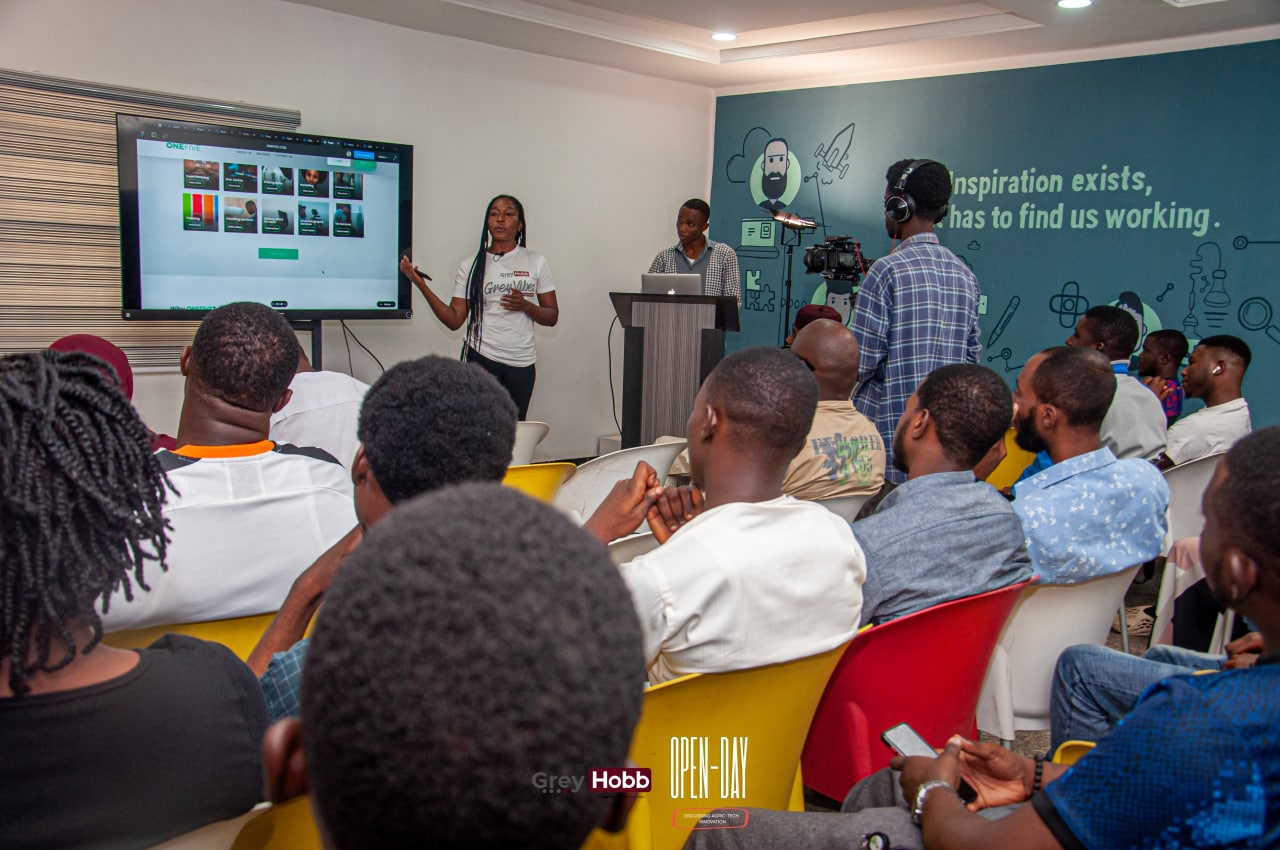 greysoft-technologies-empowering-digital-innovation